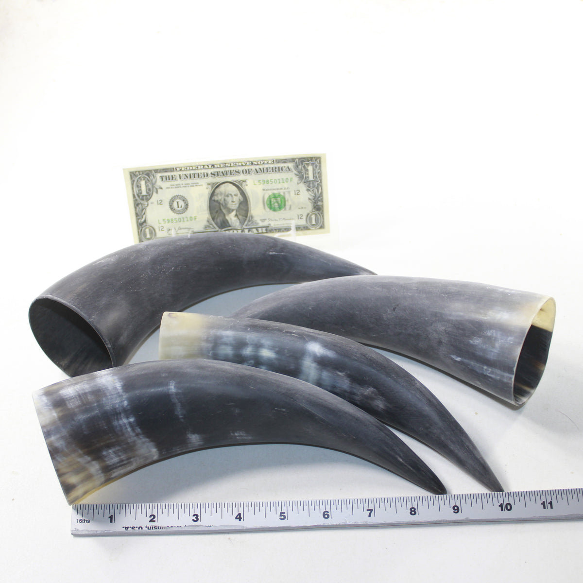 4 Raw Unfinished Cow Horns #5630 Natural Colored – Primitive Inspired