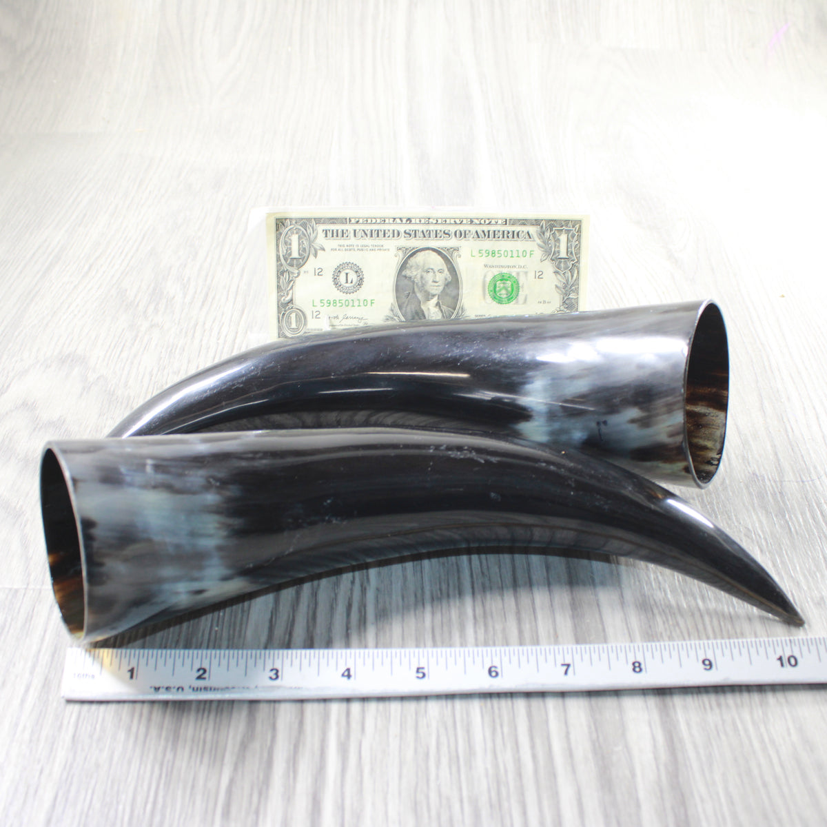 2 Polished Cow Horns #215d Natural colored – Primitive Inspired